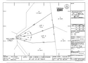 Boundary Pegs - Boundary Consultants